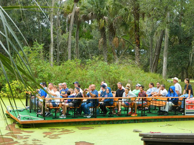 jungle adventures jungle swamp cruise 3