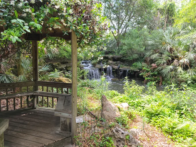 kanapaha botanical gardens 1