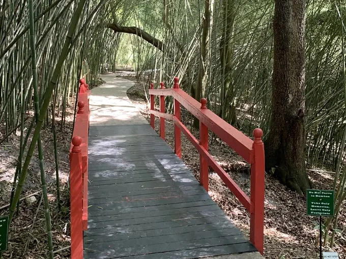 kanapaha botanical gardens 2