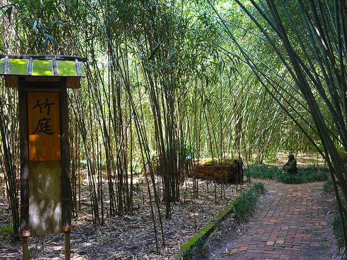 kanapaha botanical gardens 3