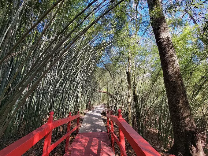 kanapaha botanical gardens 5