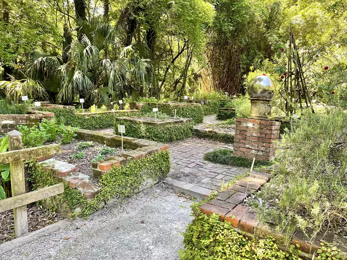 kanapaha botanical gardens 6