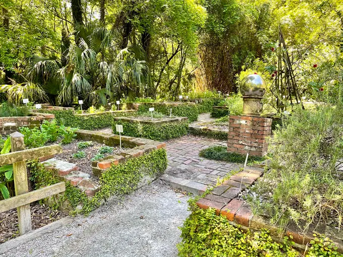 kanapaha botanical gardens 6