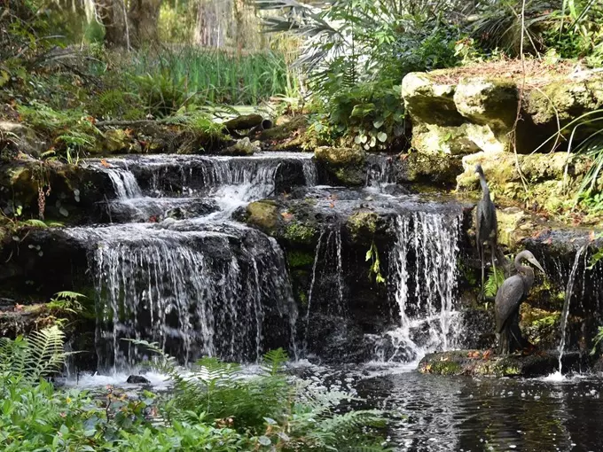 kanapaha botanical gardens 7