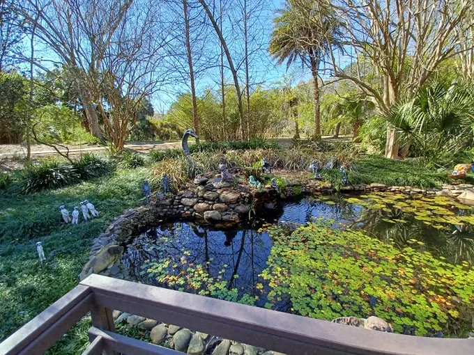 kanapaha botanical gardens 7