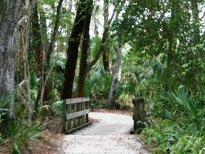 koreshan state park 3