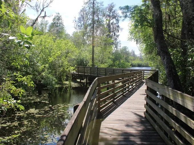 lettuce lake regional park 1