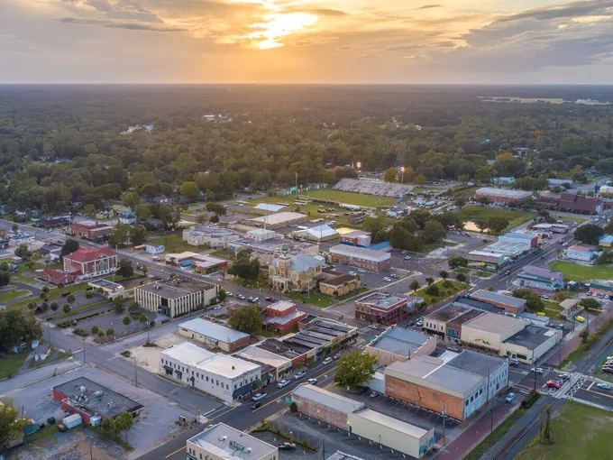 Live Oak 1