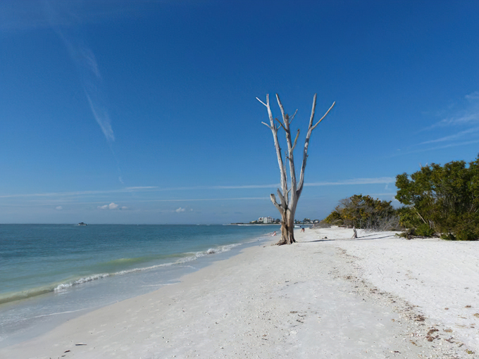 lovers key state park 1
