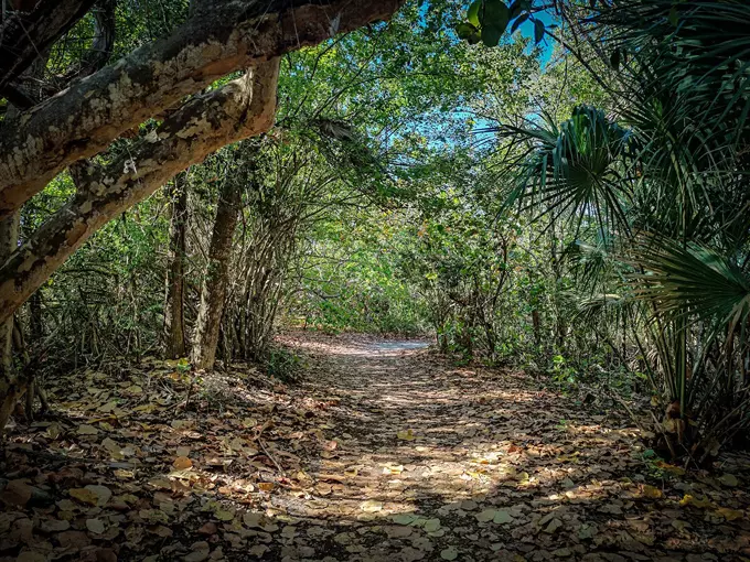 lovers key state park 4