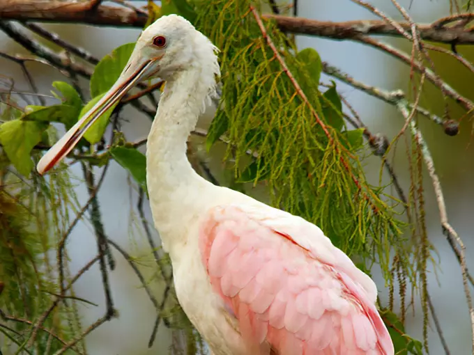 lovers key state park 5