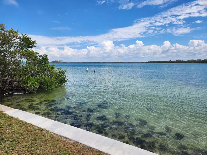 lovers key state park 8