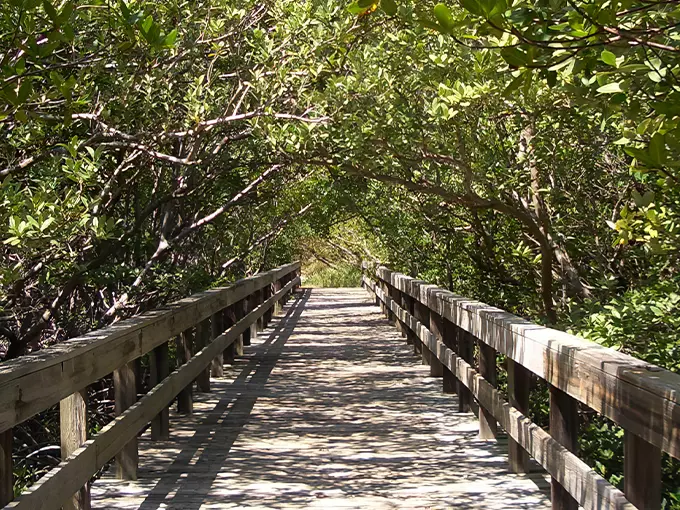 lovers key state park 9