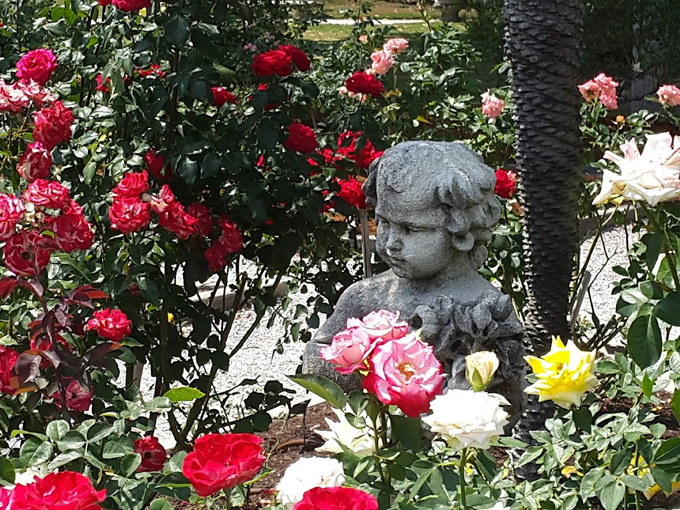 mable ringling rose garden at the ringling 3