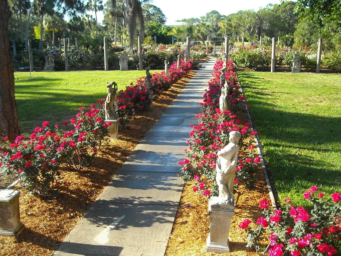 mable ringling rose garden at the ringling 5