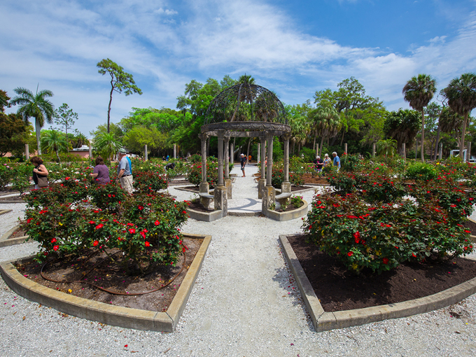 mable ringling rose garden at the ringling 6