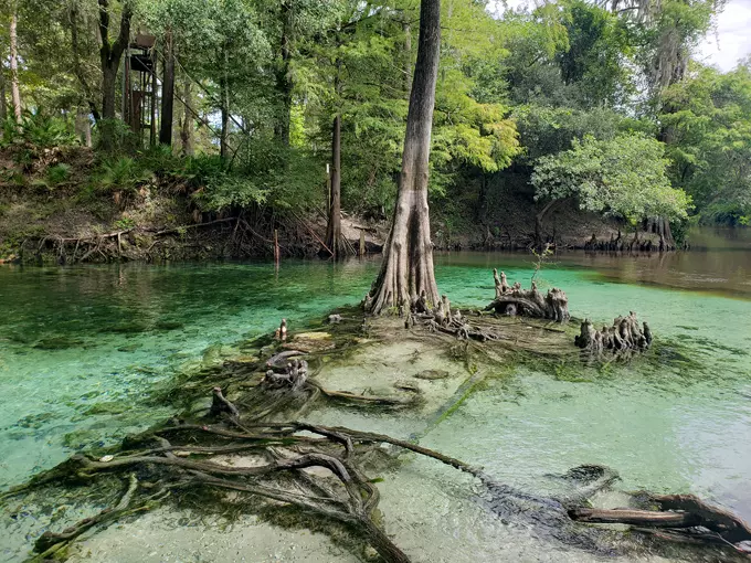 Madison Blue Spring State Park 3