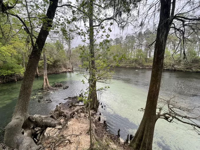 Madison Blue Spring State Park 8