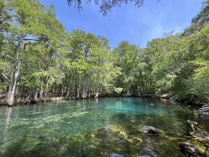 manatee springs state park 1