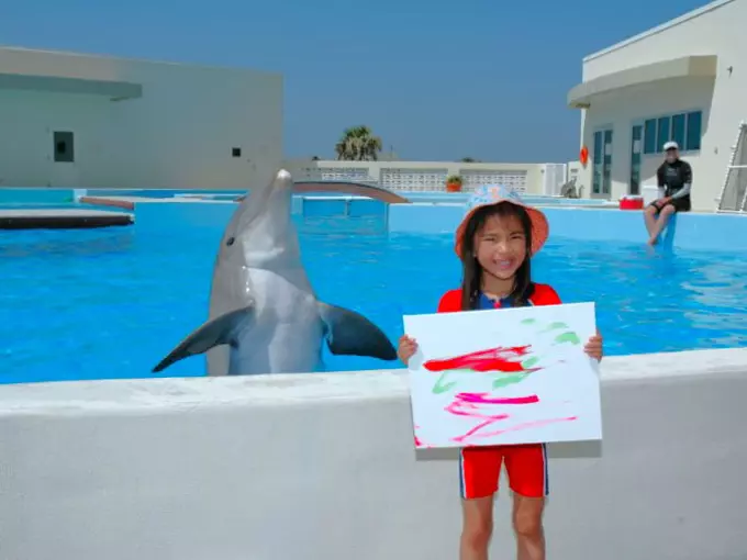 marineland dolphin adventure 4