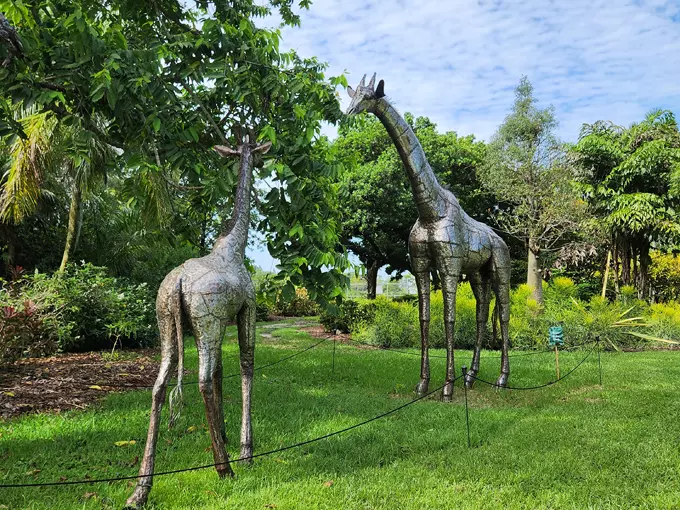 mounts botanical garden 3 1