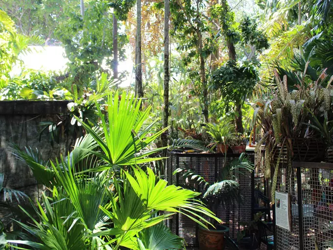 nancy forresters secret garden 5