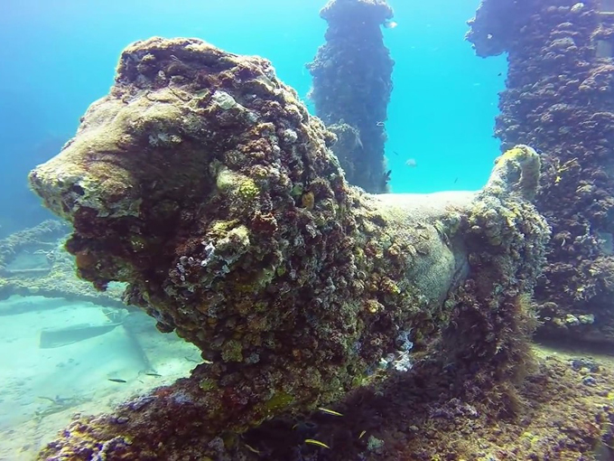 neptune memorial reef 1