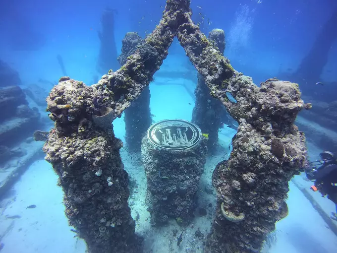 neptune memorial reef 1