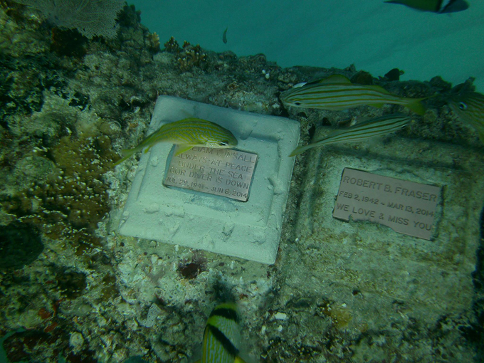 neptune memorial reef 8