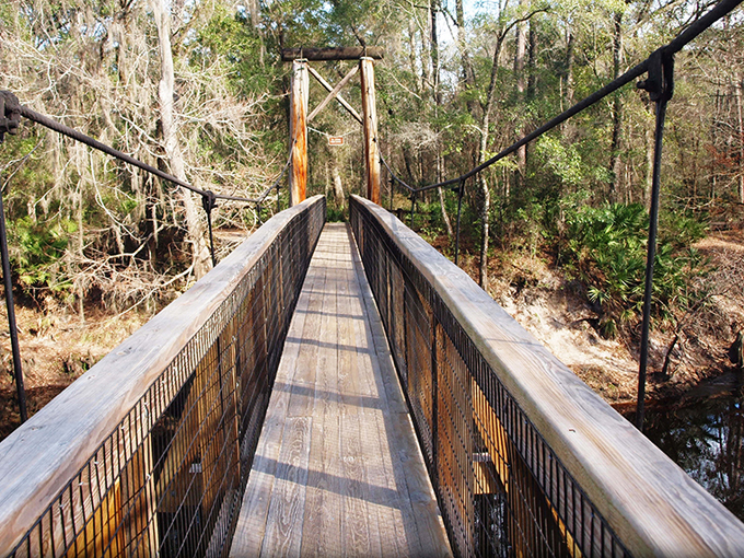 O'Leno State Park 3