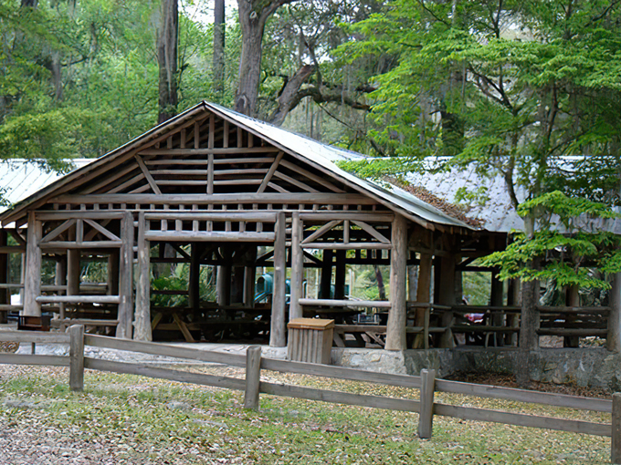 O'Leno State Park 8