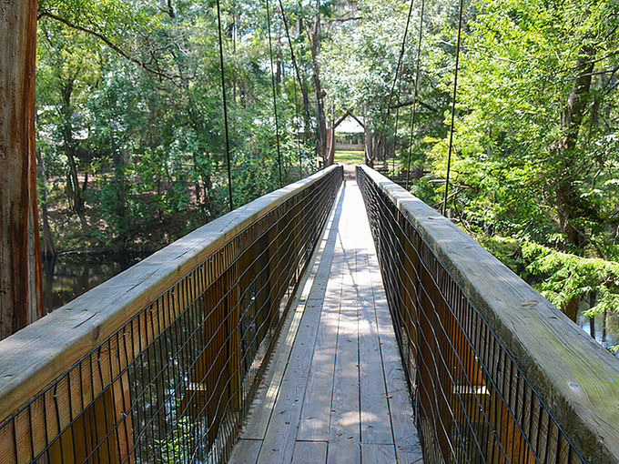 O'Leno State Park 9