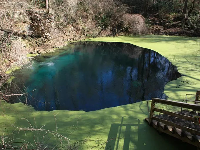orange grove sinkhole 1