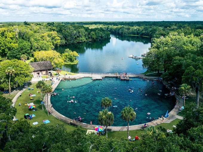 ponce de leon 8