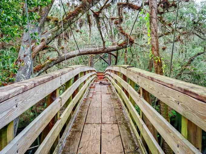 River Rapids Nature Trail 1