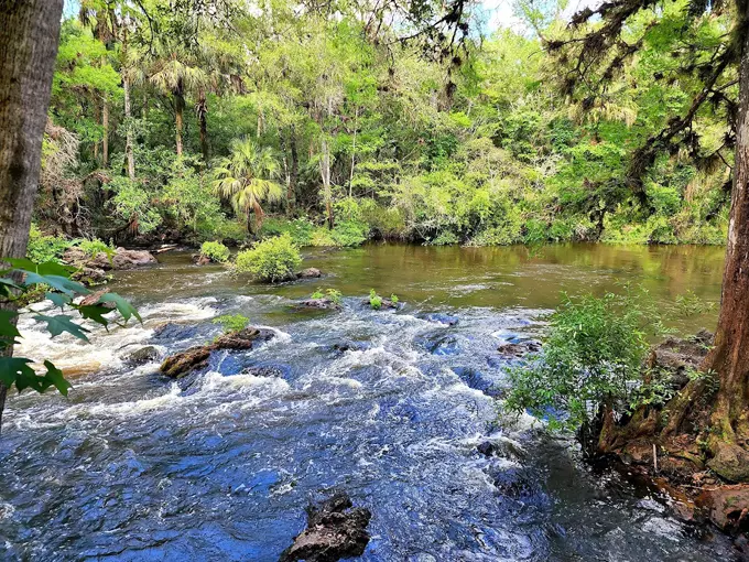 River Rapids Nature Trail 2