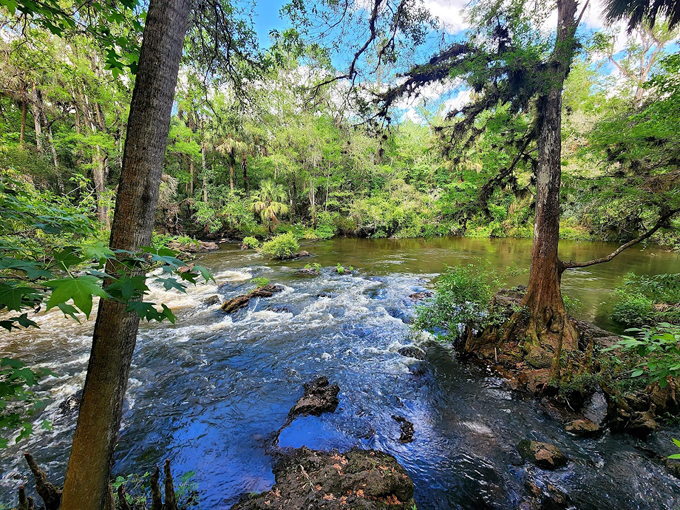 River Rapids Nature Trail 6