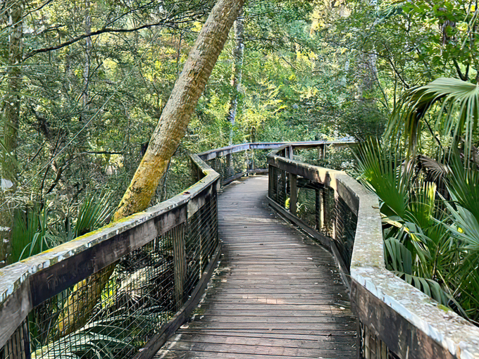 River Rapids Nature Trail 7