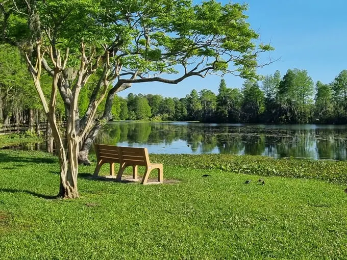 riverhills park 3