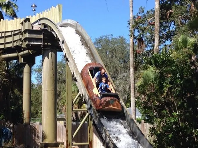 roaring springs at zootampa 4