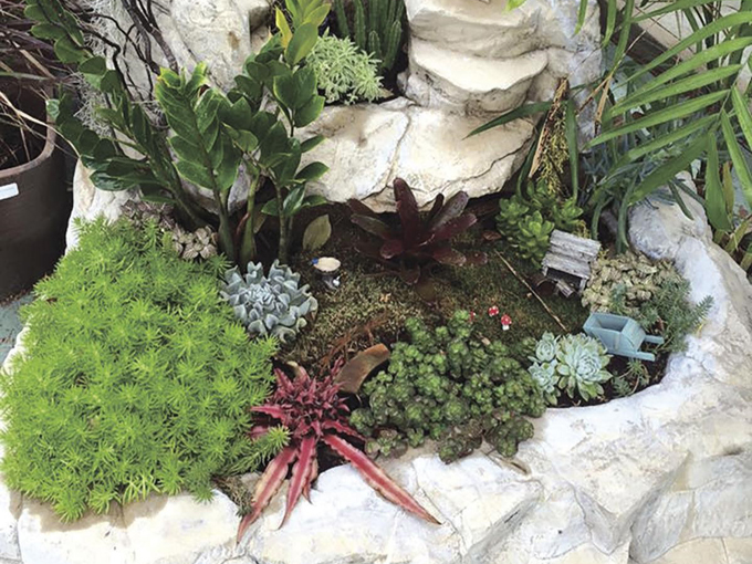 This Magical Florida Garden Center Has A Secret Fairy Garden Trail