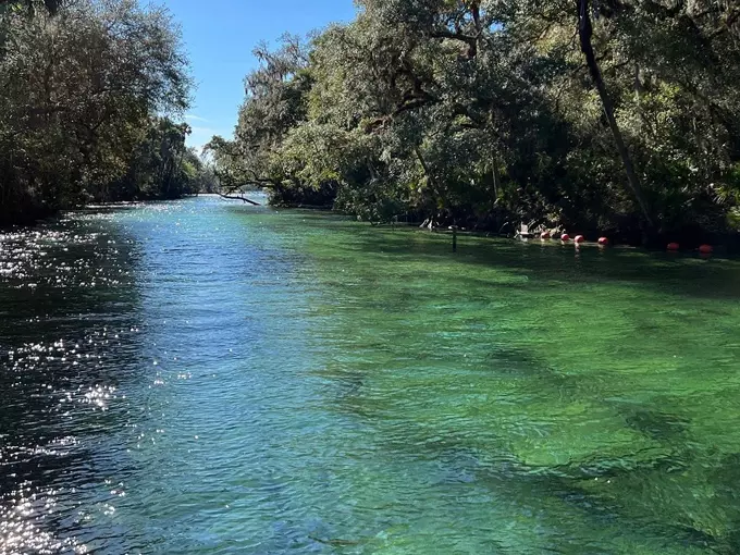 ruth b. kirby gilchrist blue springs state park 3