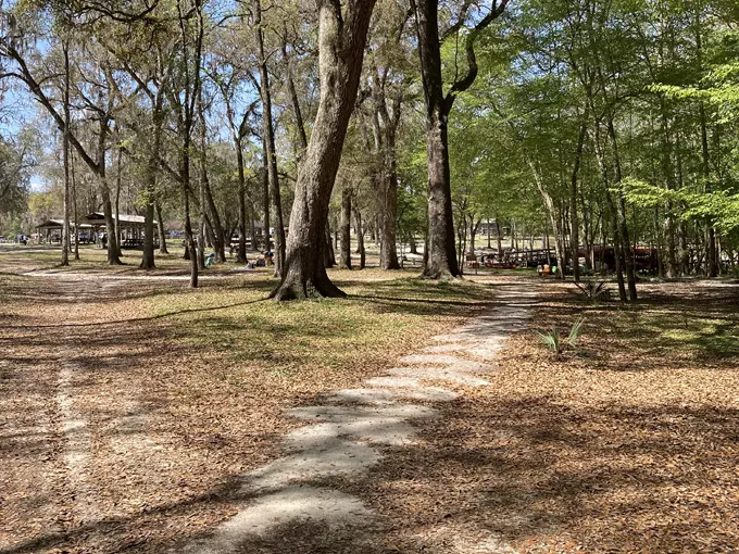ruth b. kirby gilchrist blue springs state park 7