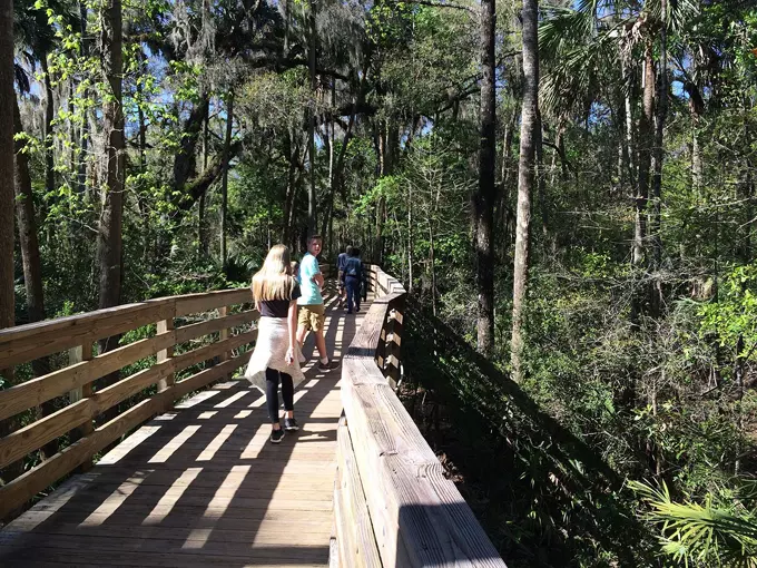 ruth b. kirby gilchrist blue springs state park 9