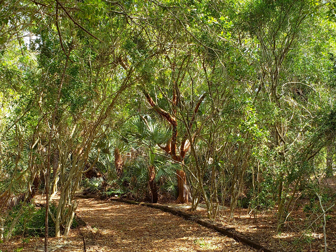 samsons island nature park 4