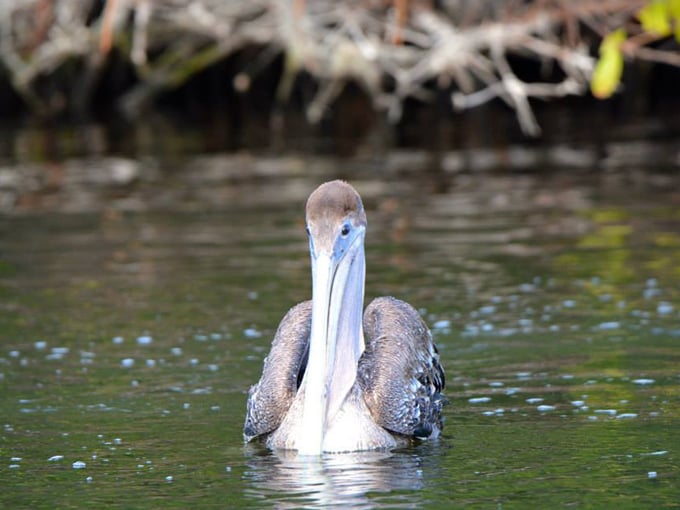 samsons island nature park 6