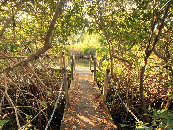 samsons island nature park 9