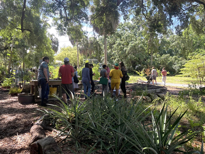 seminole heights community gardens 2
