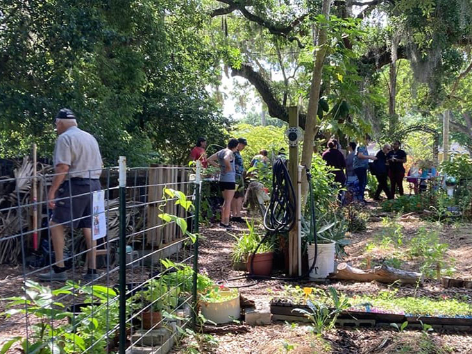 seminole heights community gardens 6