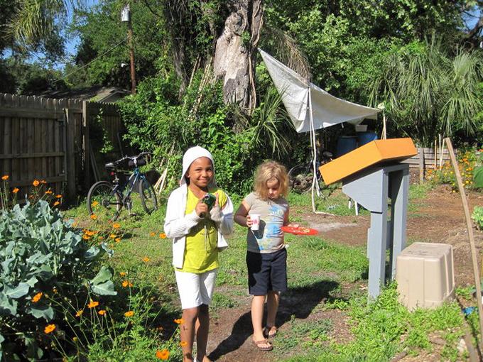 seminole heights community gardens 8